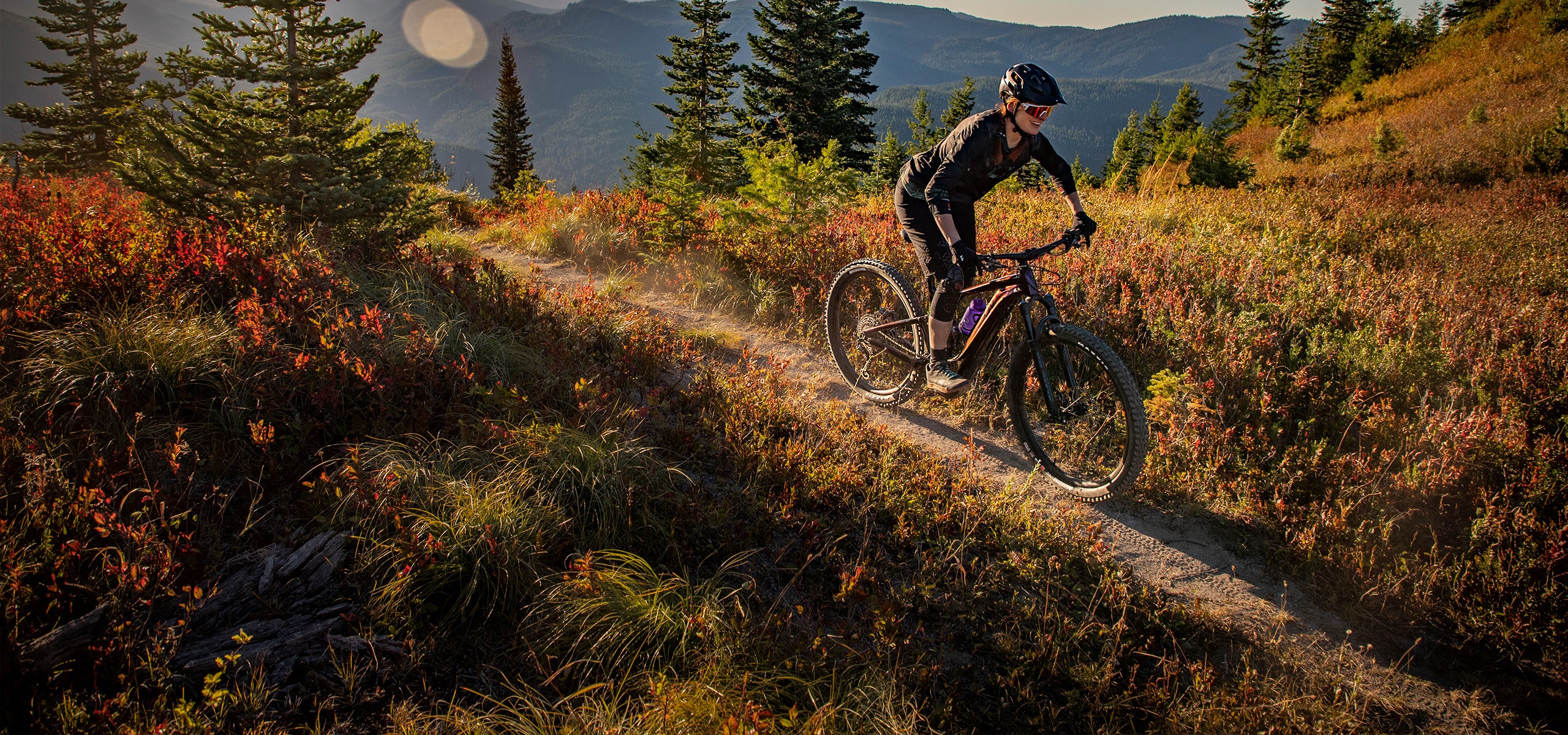 Bikester.at dein Online-Shop rund ums Fahrrad & bikester.at